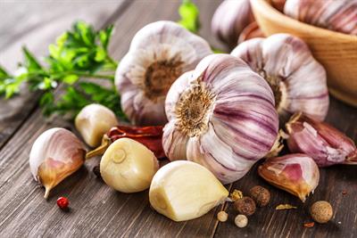 The Benefits of a Garlic Supplement for Cardiovascular Health